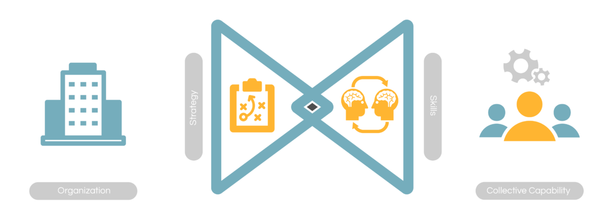 Procurement & Supply Chain Competency Assessments Procurement & Supply Chain Competency Assessments